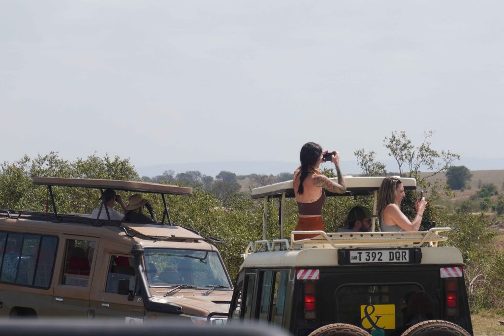 【坦桑尼亚】狂野东非·野生动物大迁徙纪录片 - ASEEDER VOLUNTEER